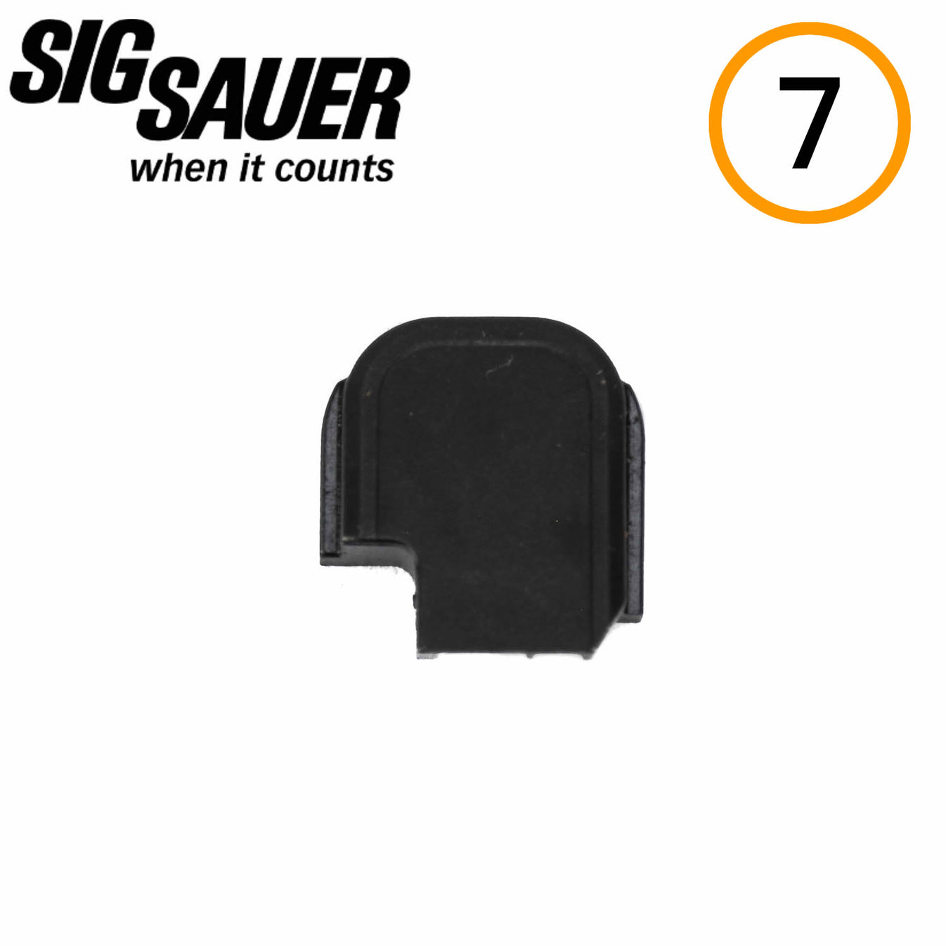 SIG Sauer SLIDE CAP (NON-TEXTURED), P365 – Sig Guy